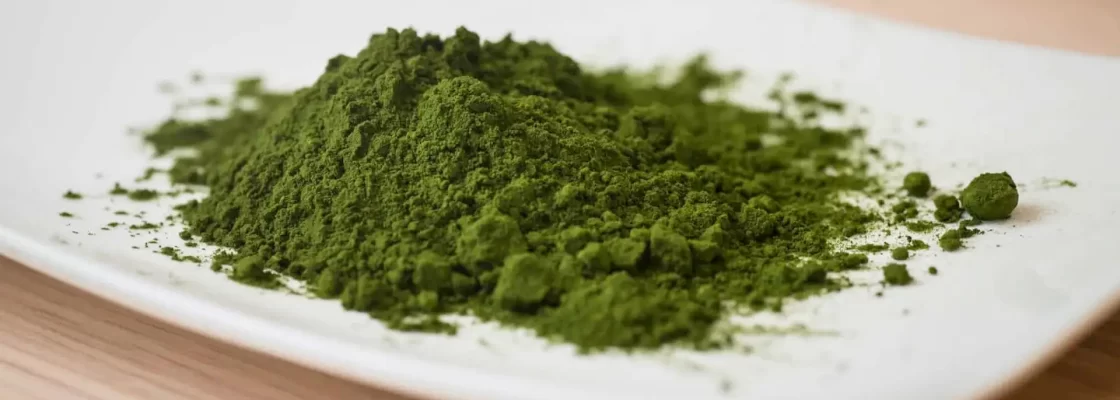 Chlorella - Biorea